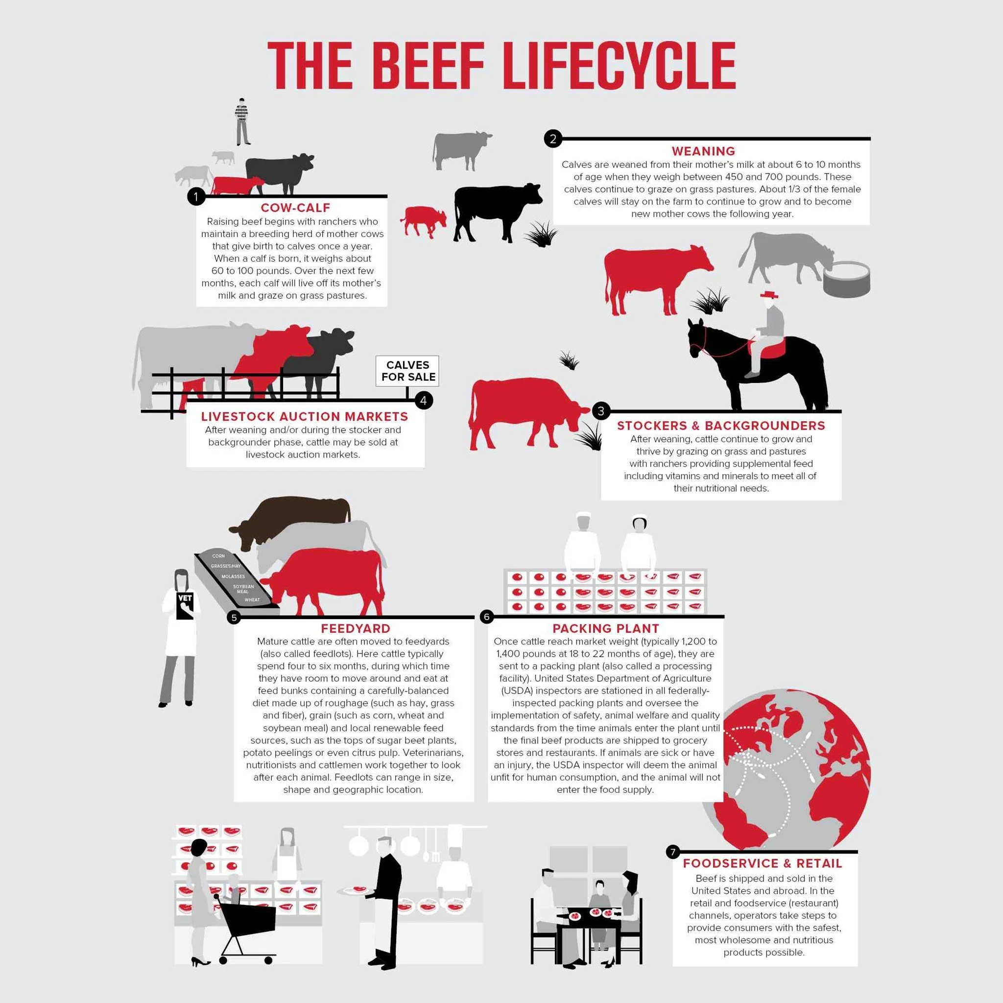 How to Buy Bulk Beef - purchasing whole, half, and quarter beef ...
