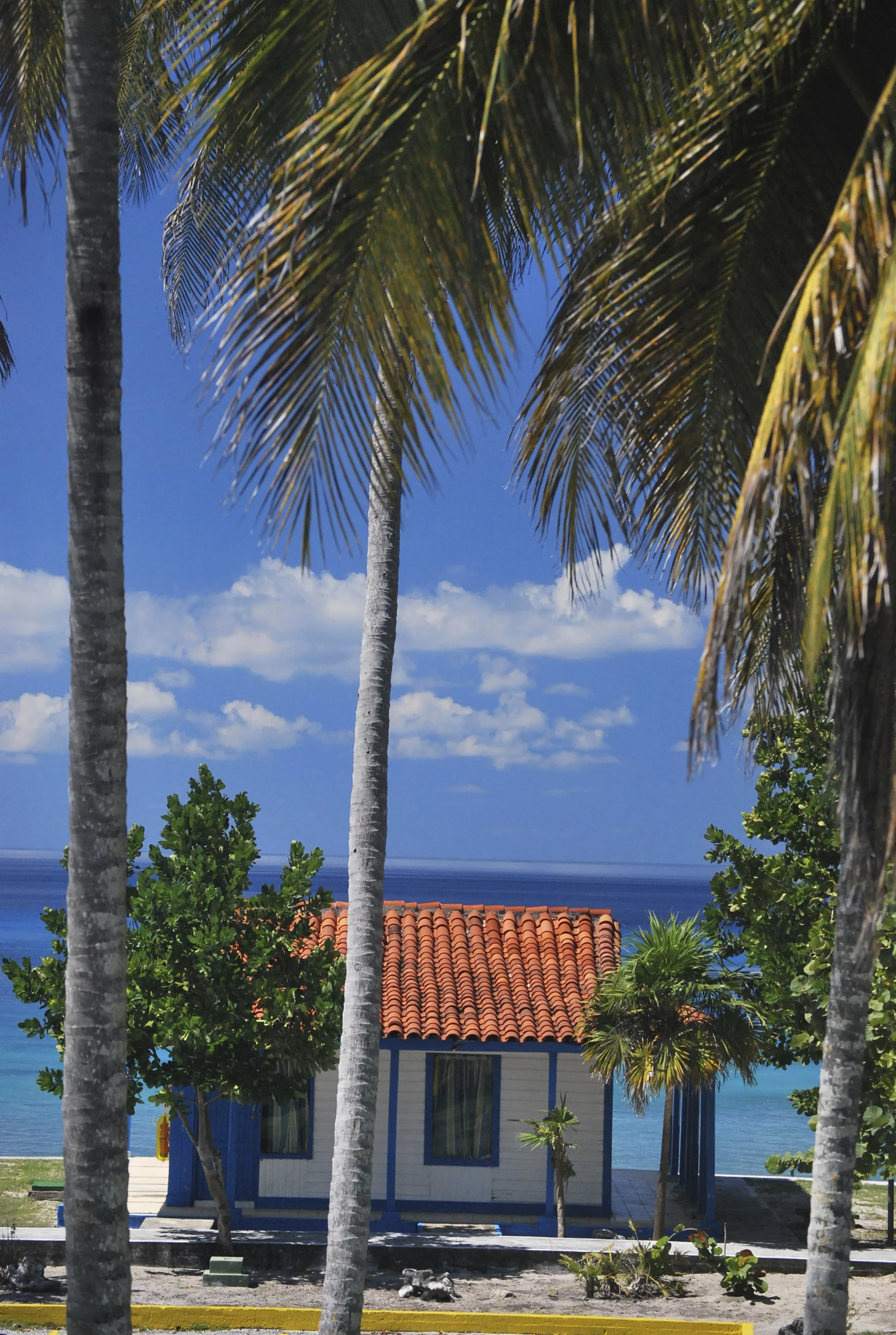 Cuba Nature & Culture Expedition — SEE Turtles