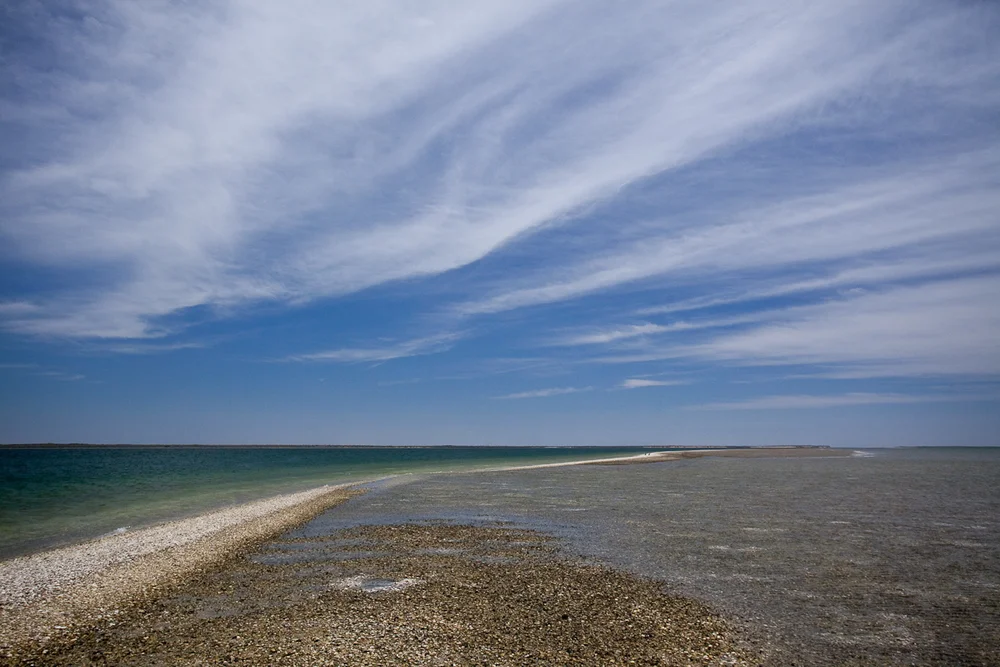 Global Warming & Sea Turtles — SEE Turtles