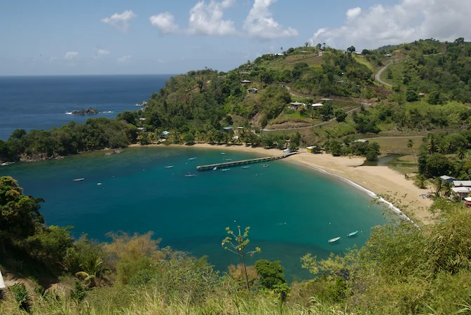 Coastal Development & Sea Turtles — SEE Turtles