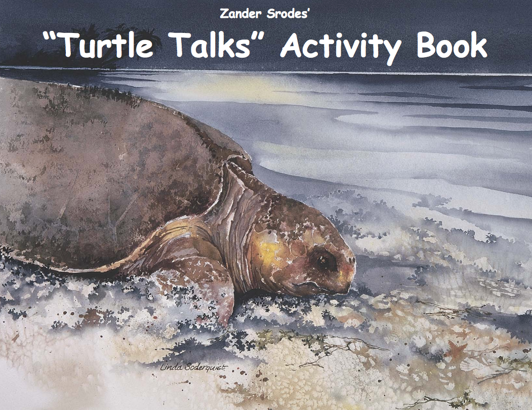 Kids Saving Sea Turtles — SEE Turtles