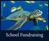 Sea Turtle Lesson Plans — SEE Turtles — SEE Turtles