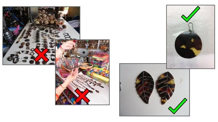 SEE-Shell-Bahasa — SEE Turtles