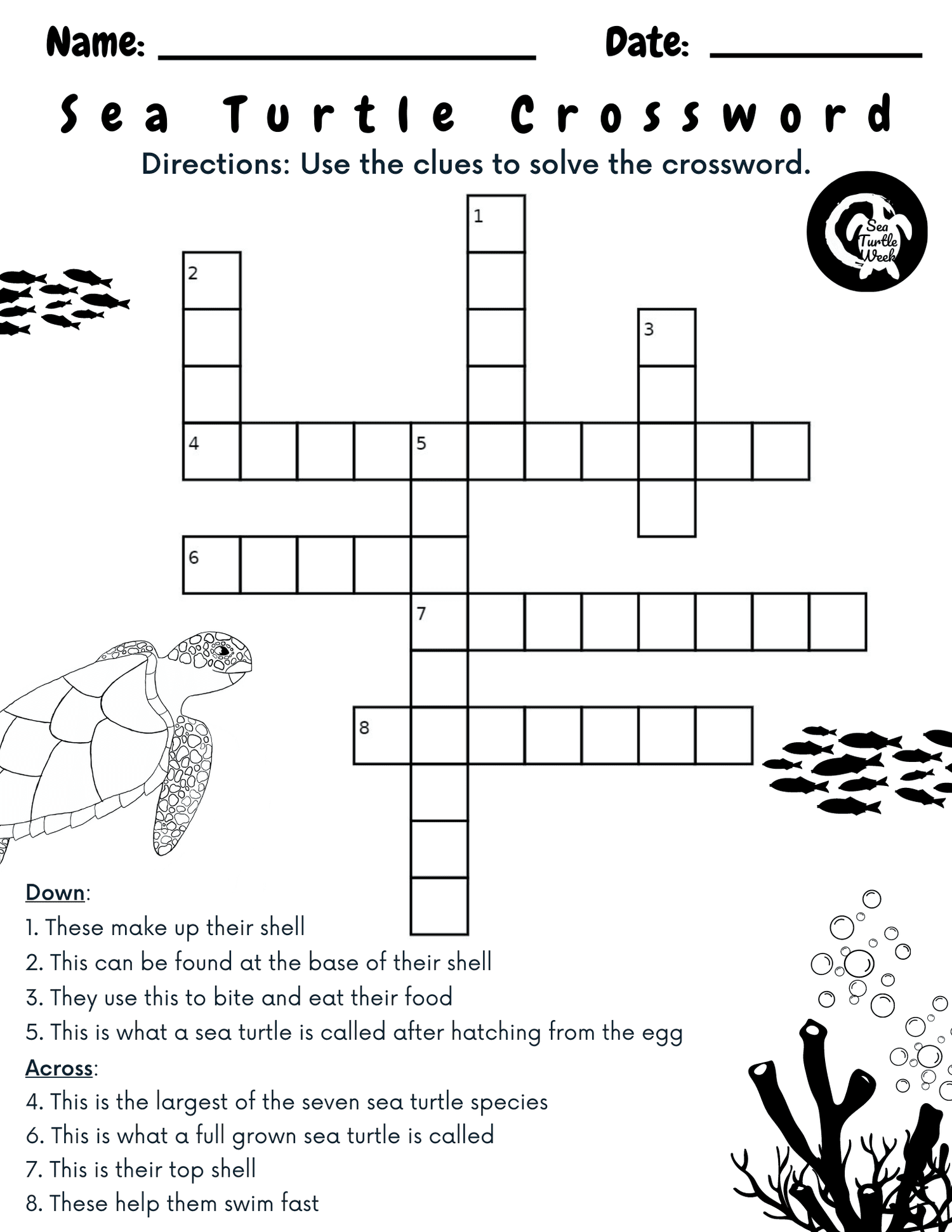 Classroom Resources — SEE Turtles