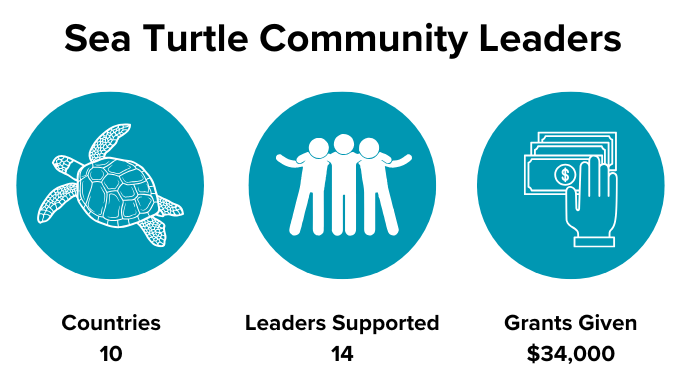 Our Mission — SEE Turtles