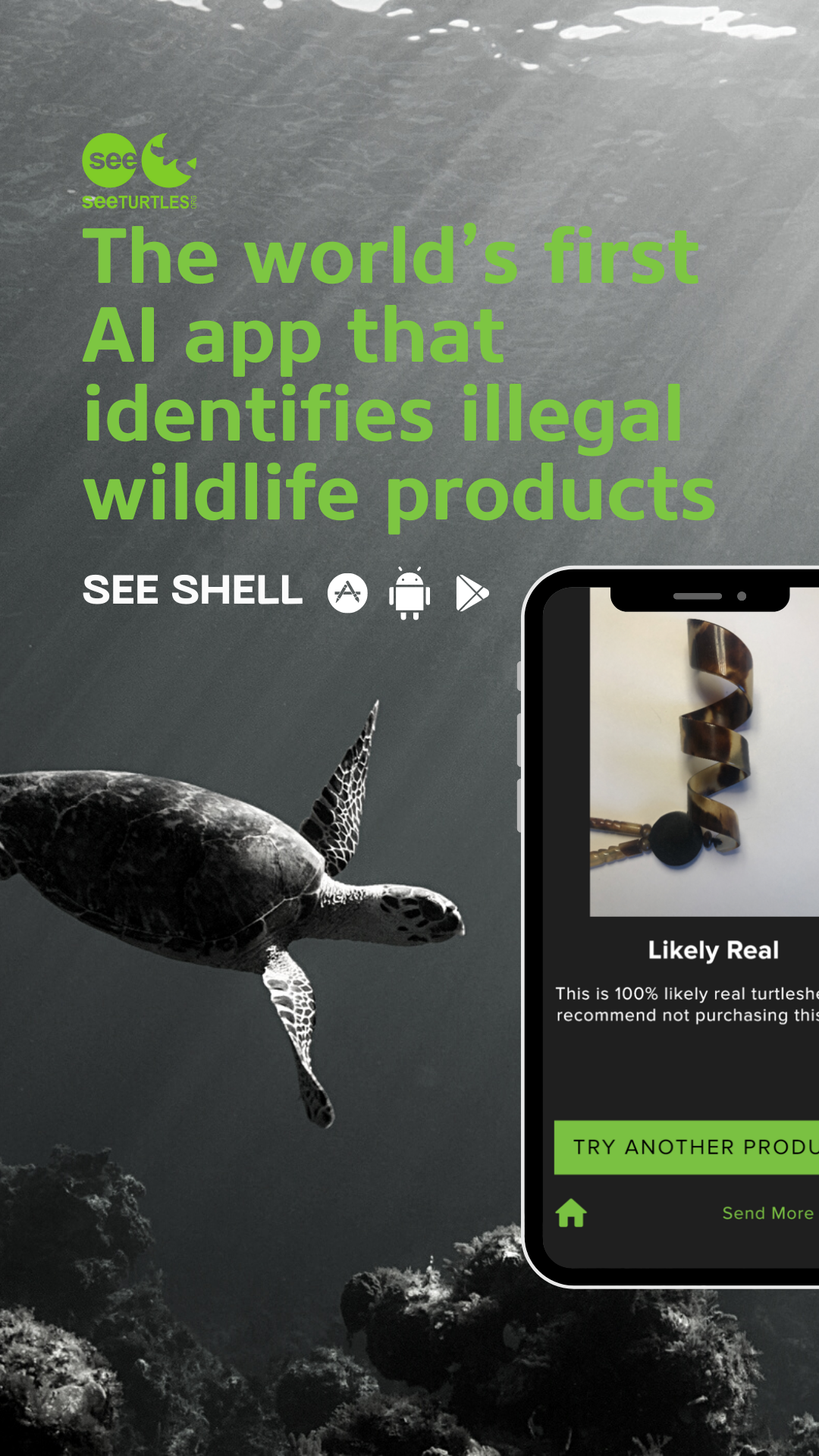 Working To End The Tortoiseshell Trade — SEE Turtles