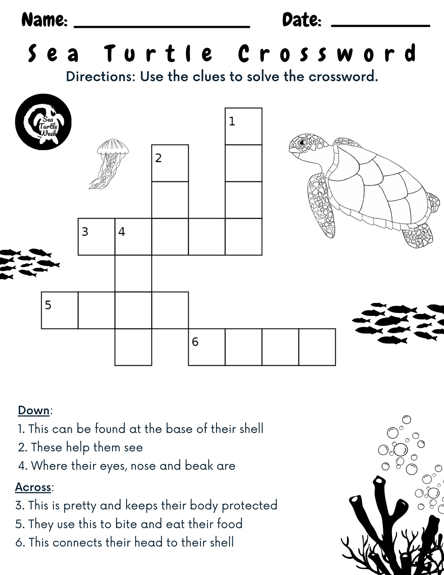 Classroom Resources — SEE Turtles