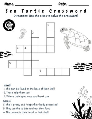 Classroom Resources — SEE Turtles