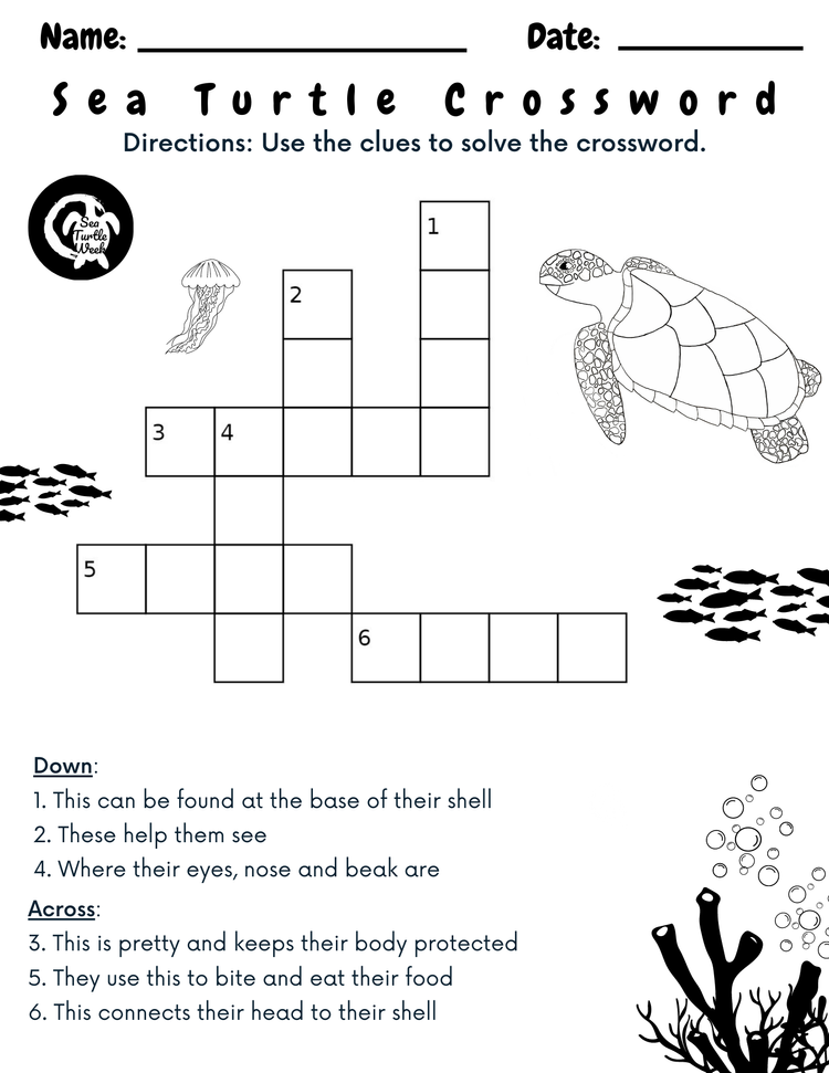 Classroom Resources — SEE Turtles