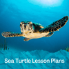 Classroom Resources — SEE Turtles