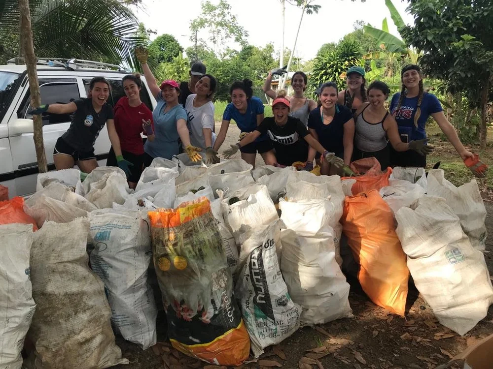 Cleaning Turtle Habitats Around the World with Our Sponsor Dots.Eco ...