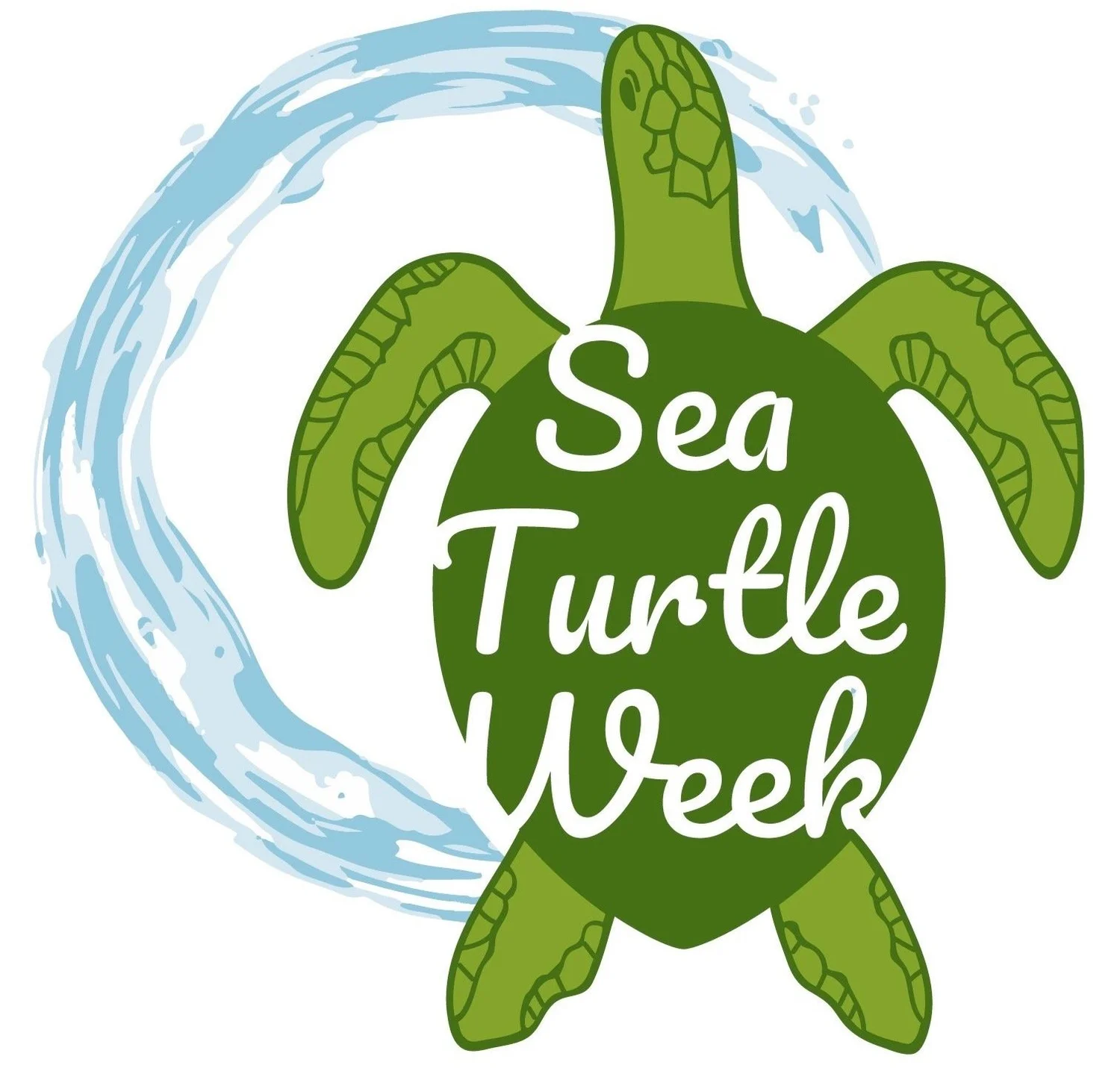 SEE Turtles | Sea Turtle Conservation Tours & Ways to save turtles
