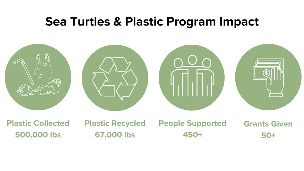 Sea Turtles & Plastic — SEE Turtles