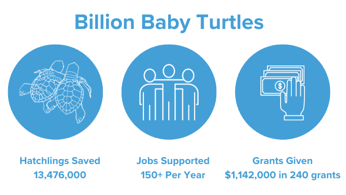 SEE Turtles