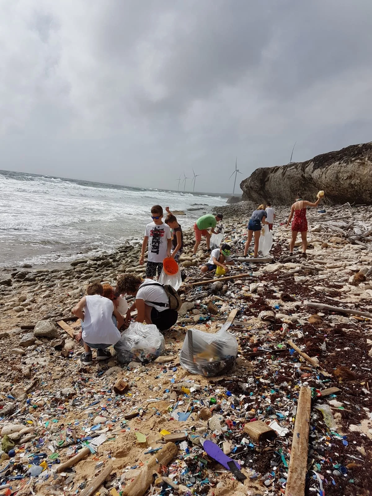 Recycling Projects — SEE Turtles