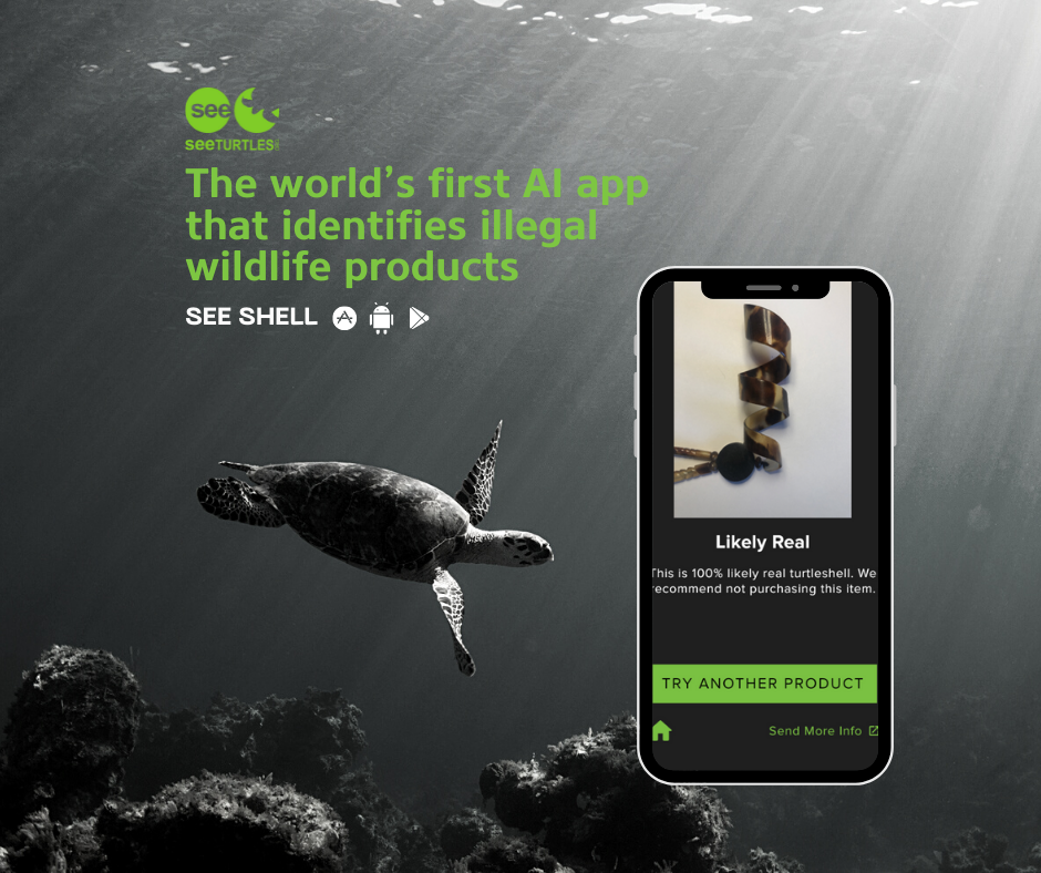 Pledge-TKU | Support Sea Turtle Conservation Today — SEE Turtles