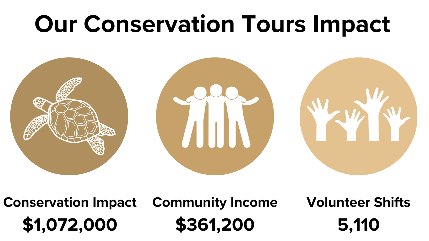 Conservation Impact — SEE Turtles