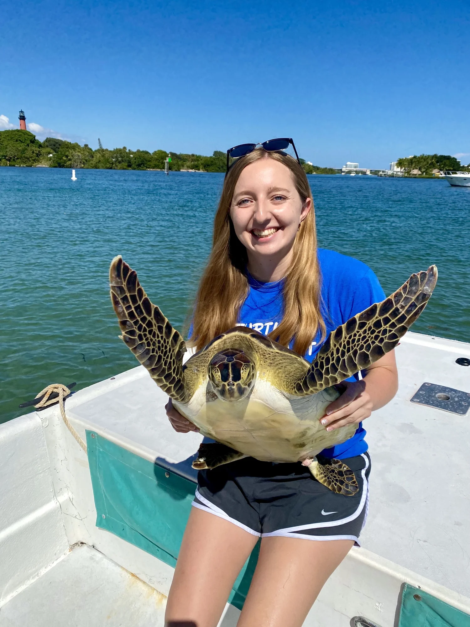 Turtle Blog — SEE Turtles