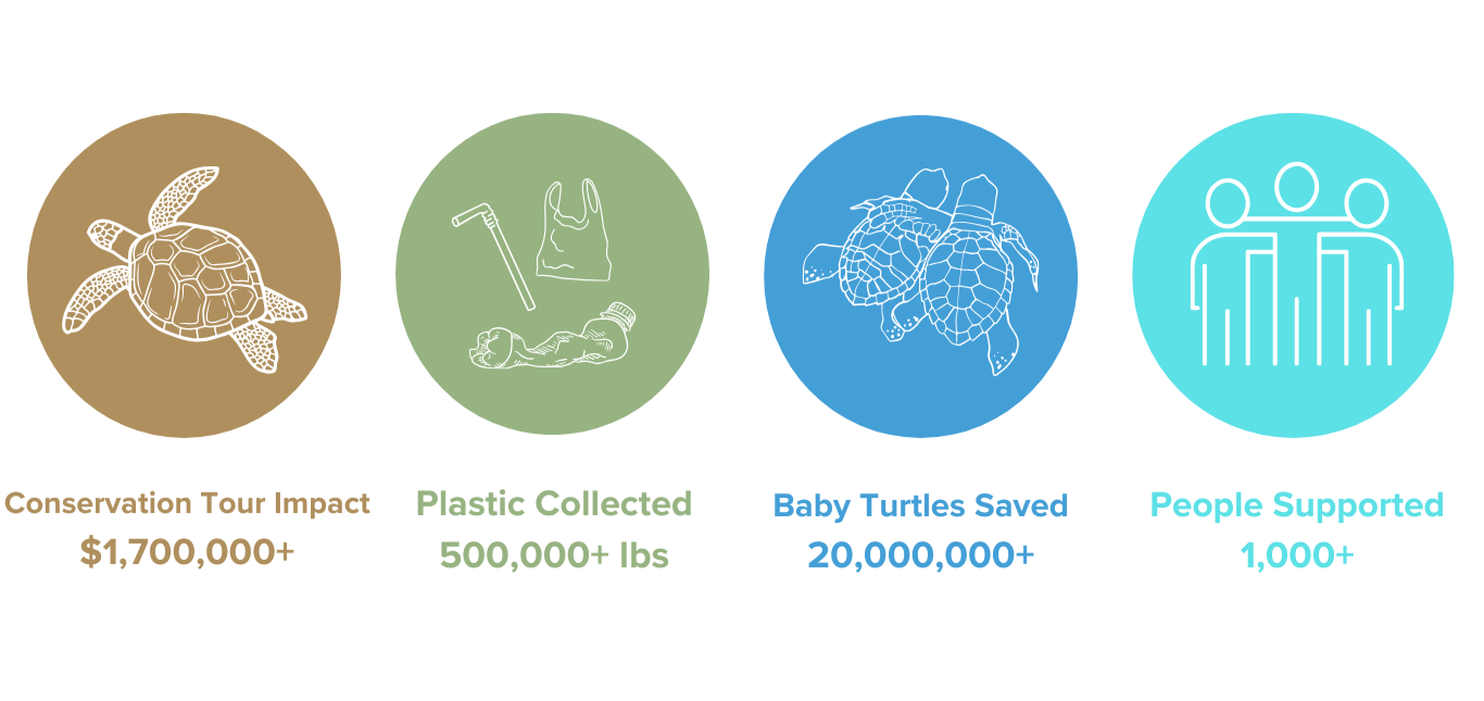 SEE Turtles | Sea Turtle Conservation Tours & Ways to save turtles