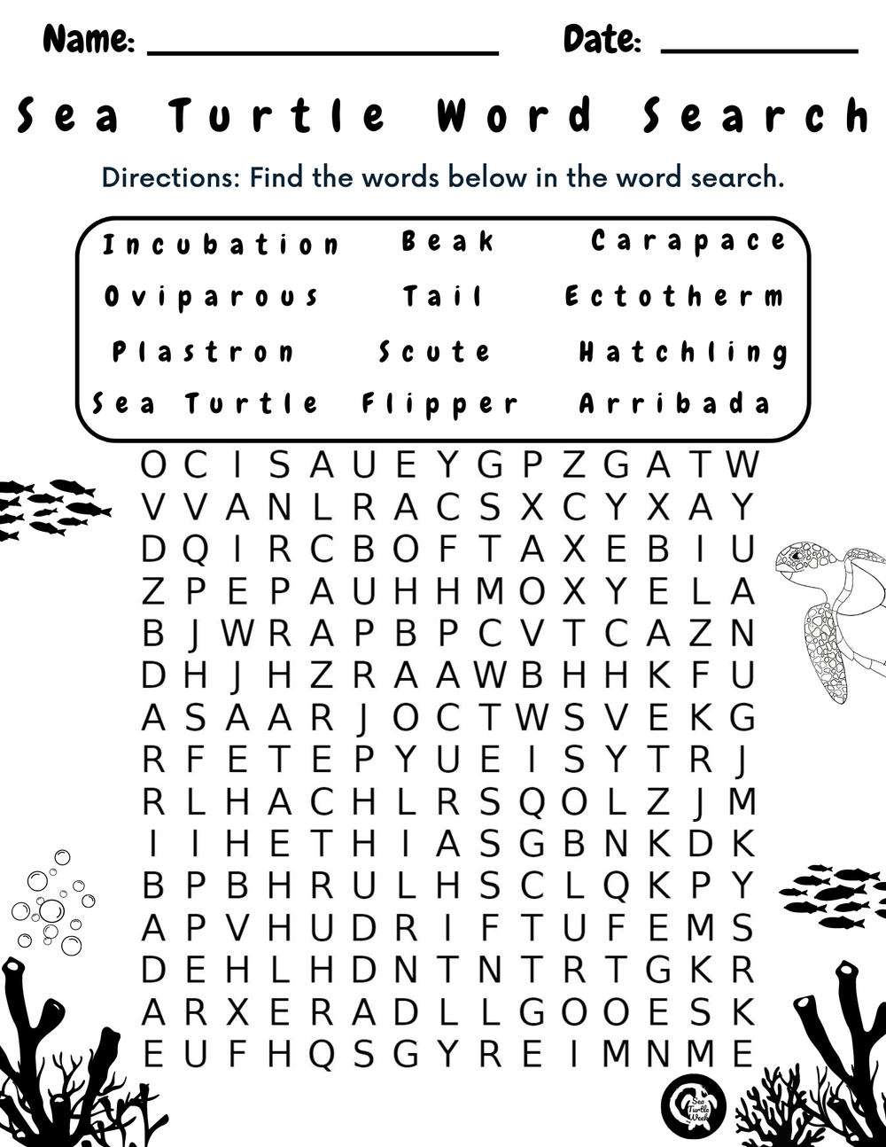 Sea Turtle Lessons — SEE Turtles