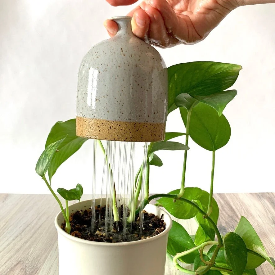 Projects — Glazed Ceramics Studio