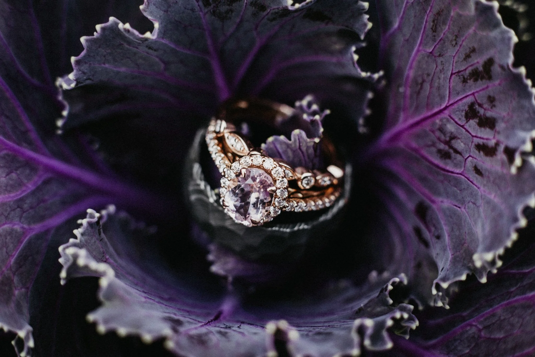 WEDDINGS — David Blakeslee Photography