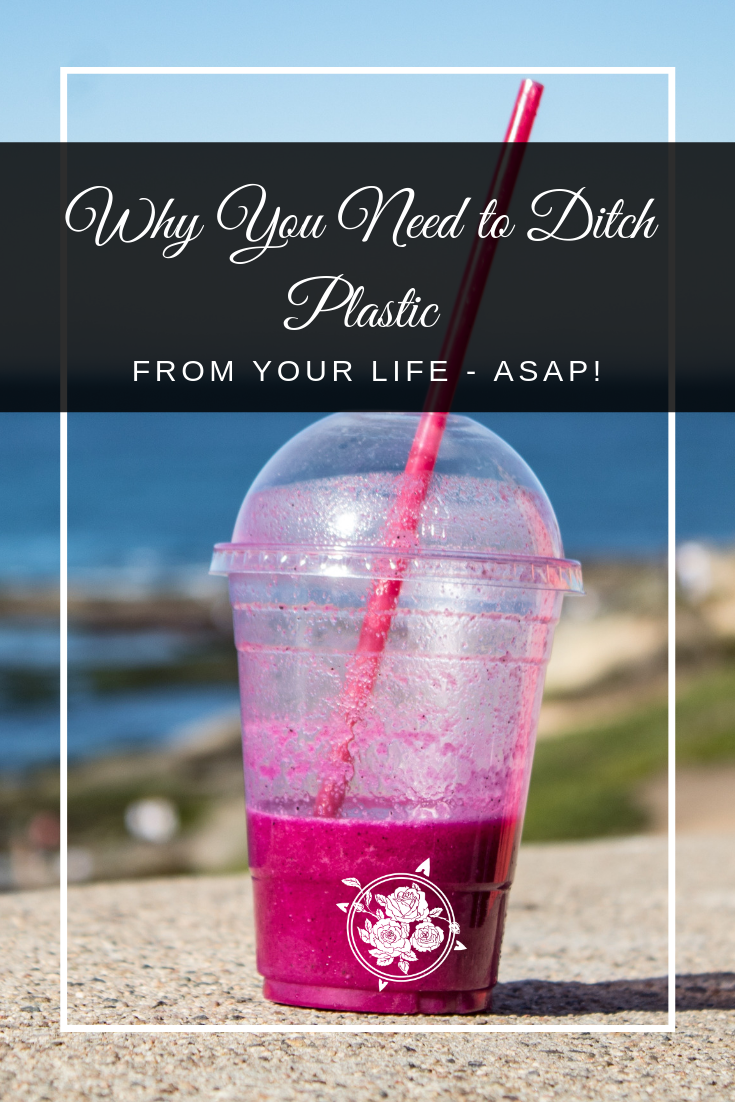 Why You Need to Ditch Plastic ASAP! — Compass Rose Nutrition & Wellness