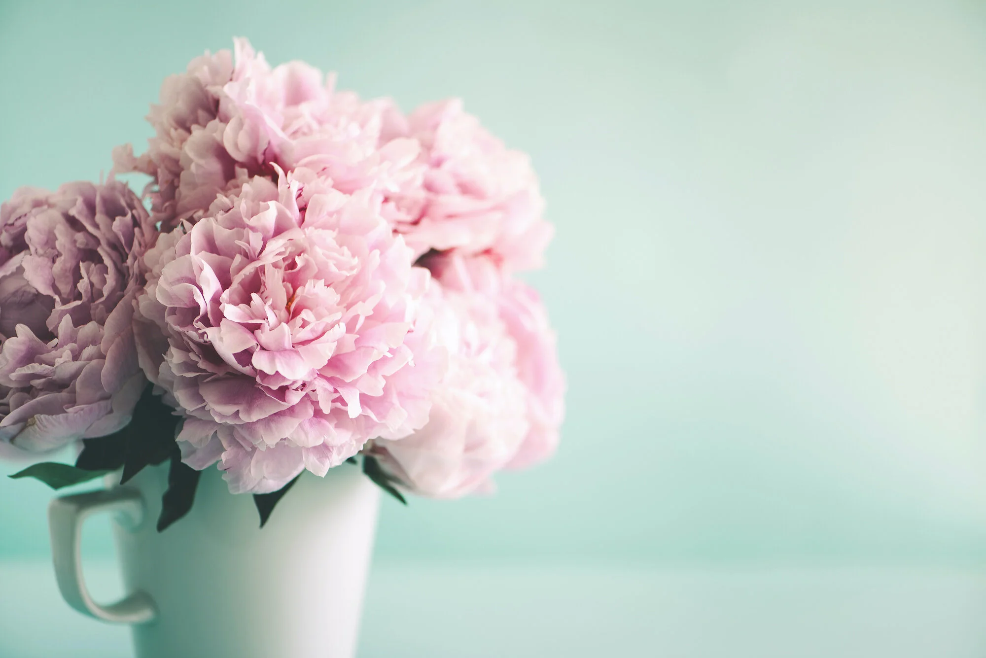 My Epic 24 Hour Detox! — Compass Rose Nutrition & Wellness