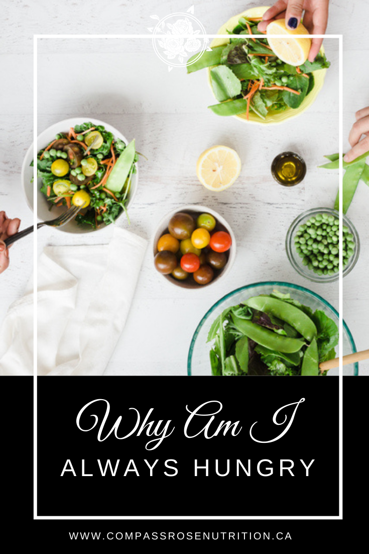 Why Am I Always Hungry? — Compass Rose Nutrition & Wellness