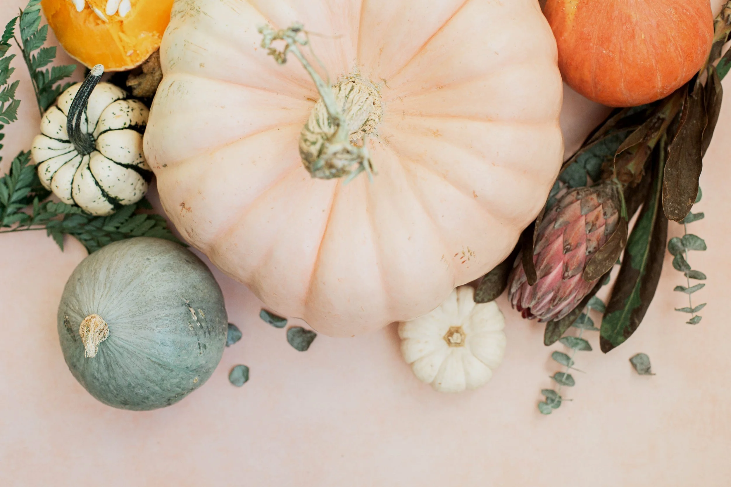 7 Healthy Fall Foods — Compass Rose Nutrition & Wellness