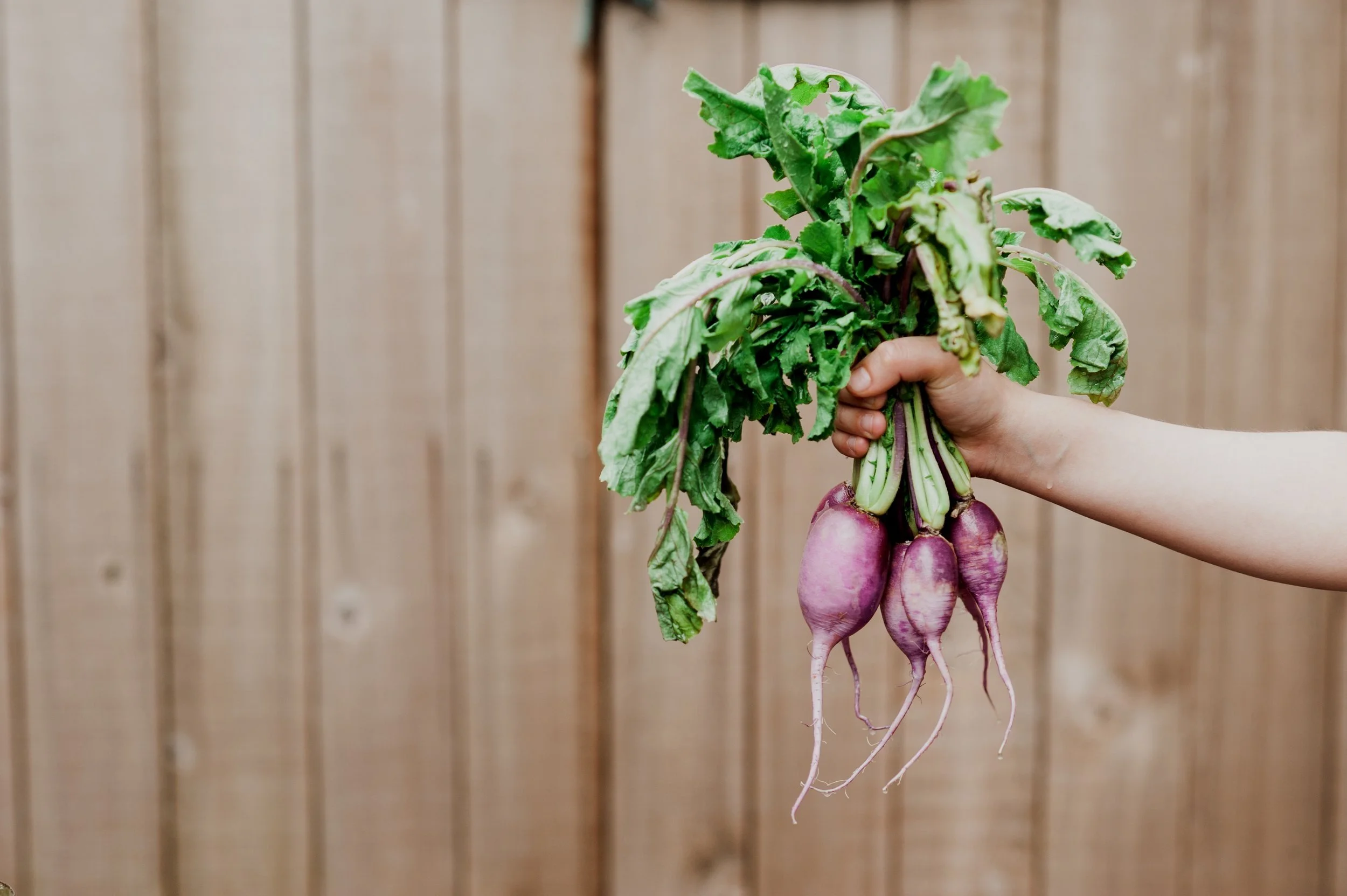 Eating Healthy Is Less Expensive Than You Think! — Compass Rose ...