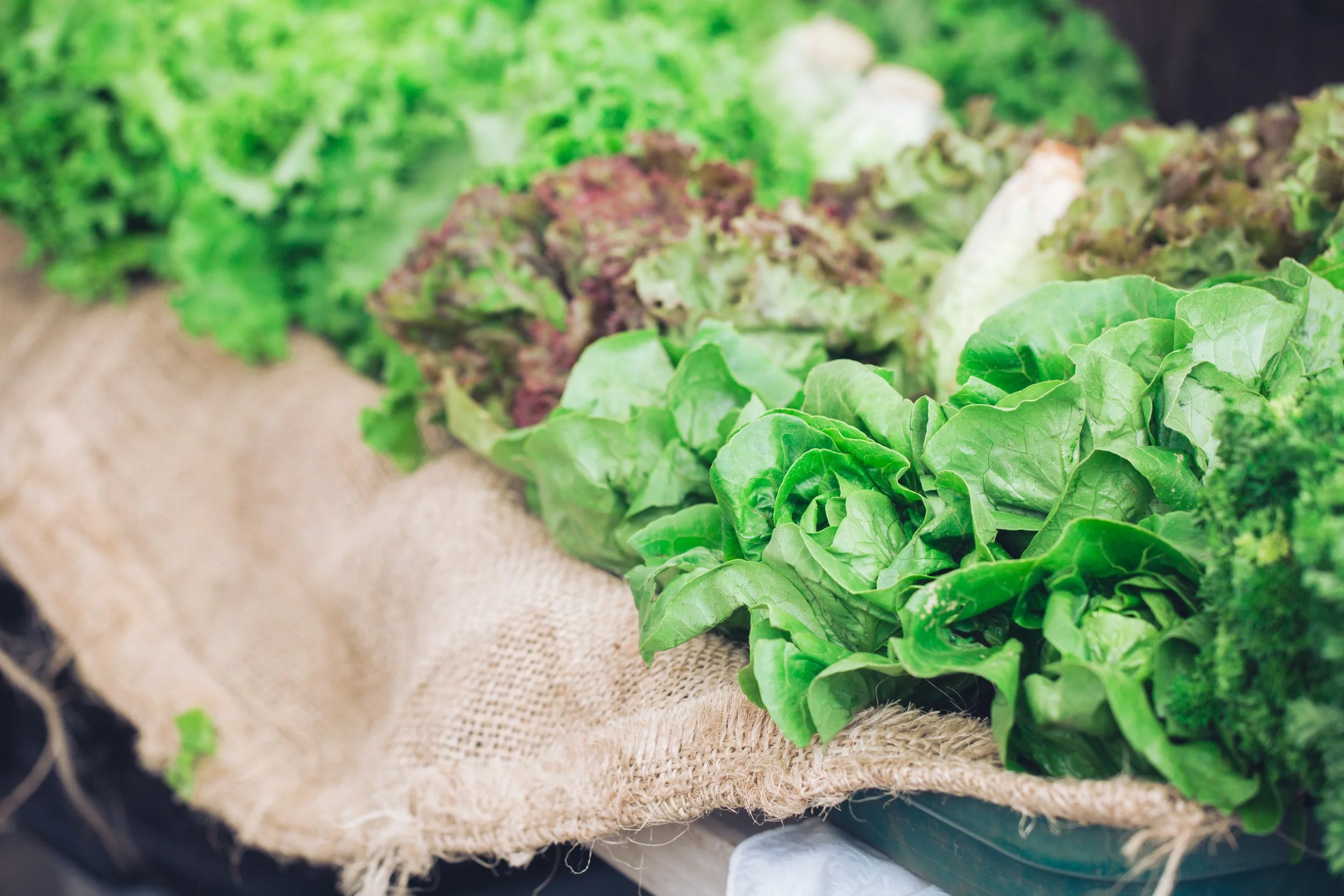 Grocery Shopping Made Easy: Your Solution to Healthy and Budget ...