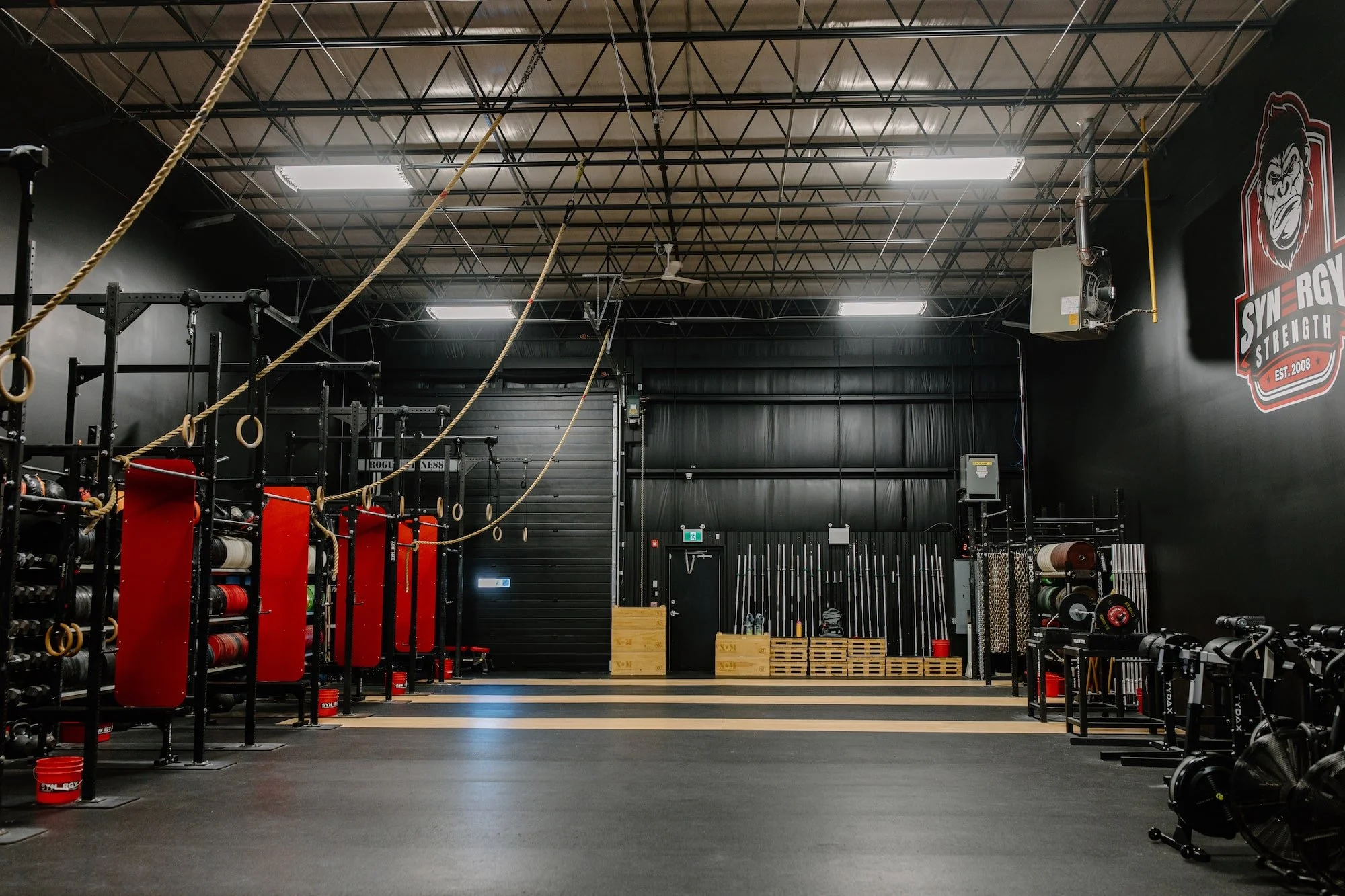 Synergy Strength & Sports Therapy - Fitness, Weightlifting, Sports ...