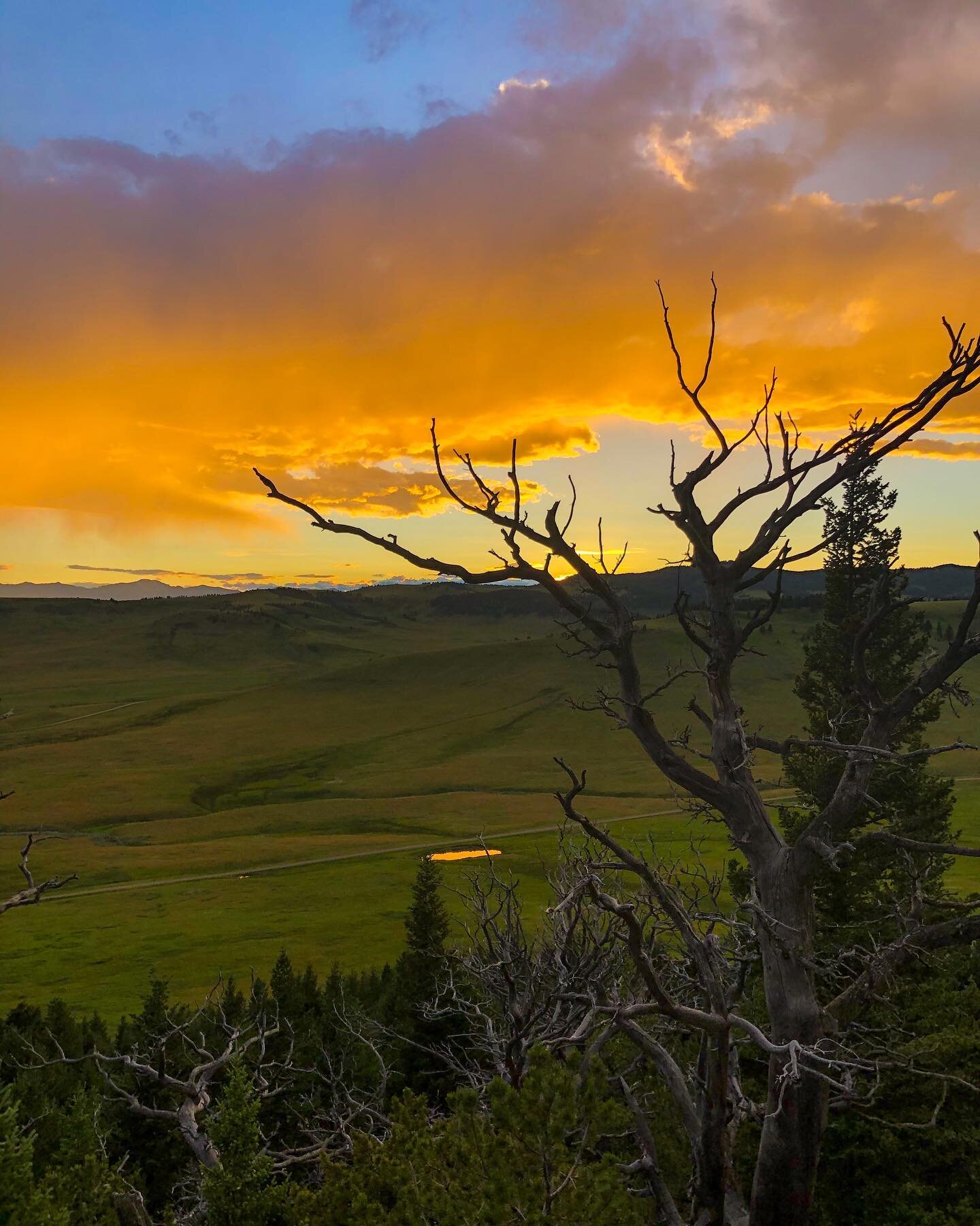 About Us — Flint Rock Ranch