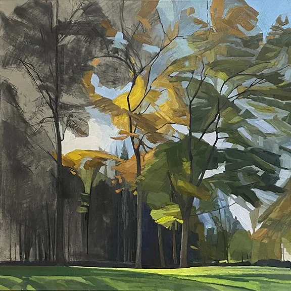 Where The Light Comes From — sue charles studio