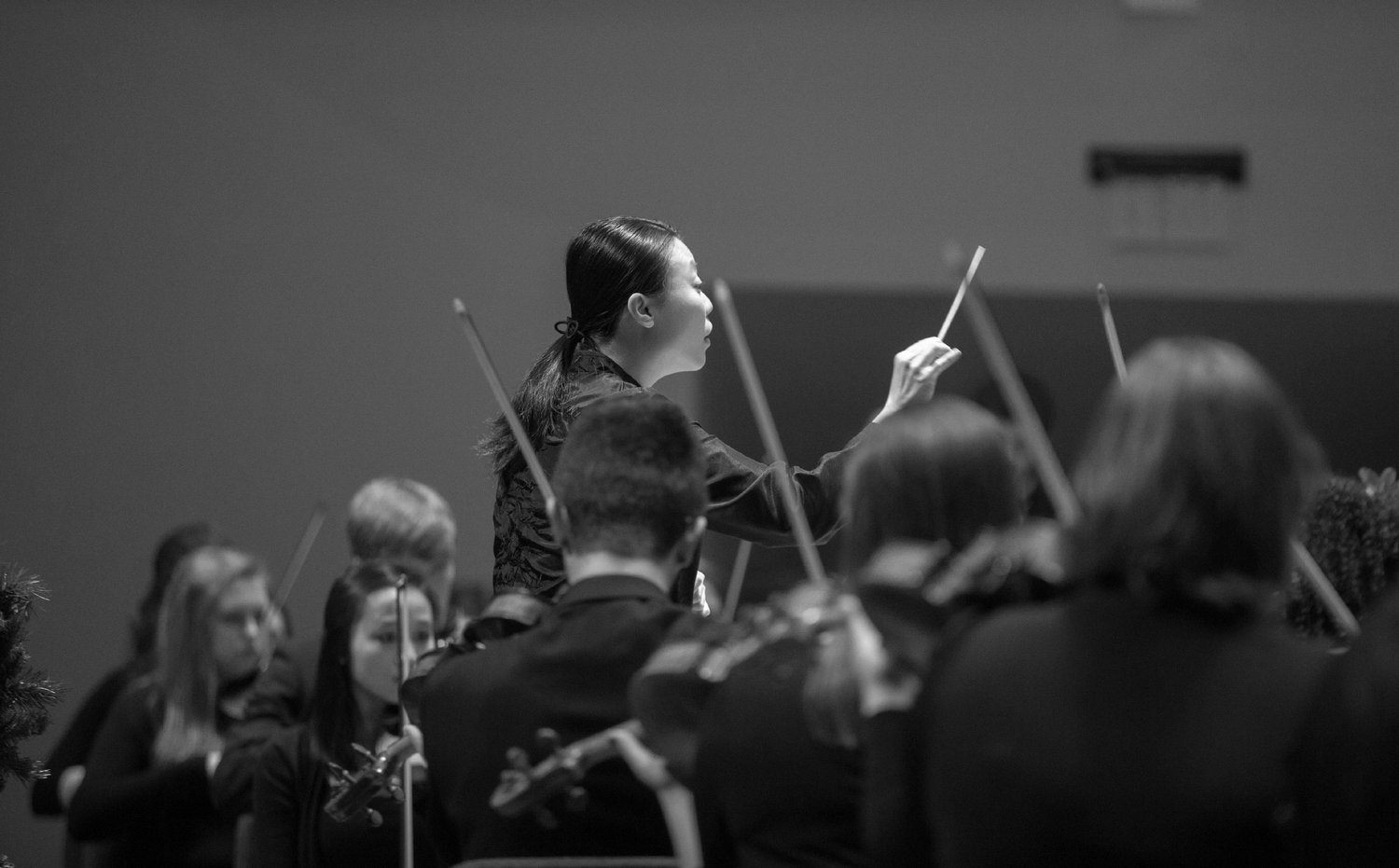 Chinese Bio — Ching-Chun Lai