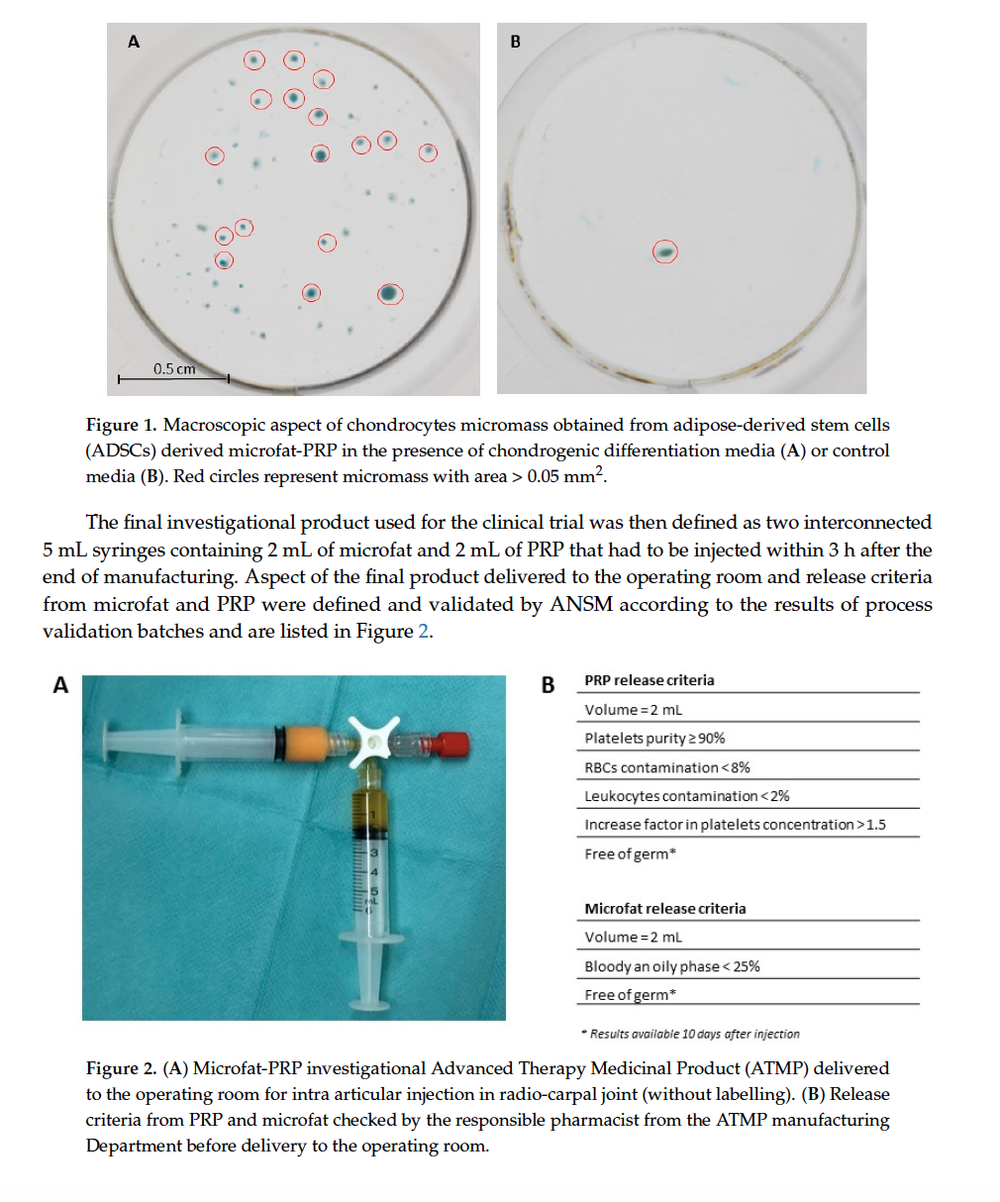 MICROFAT GRAFTING SYSTEM — PLYMOUTH MEDICAL