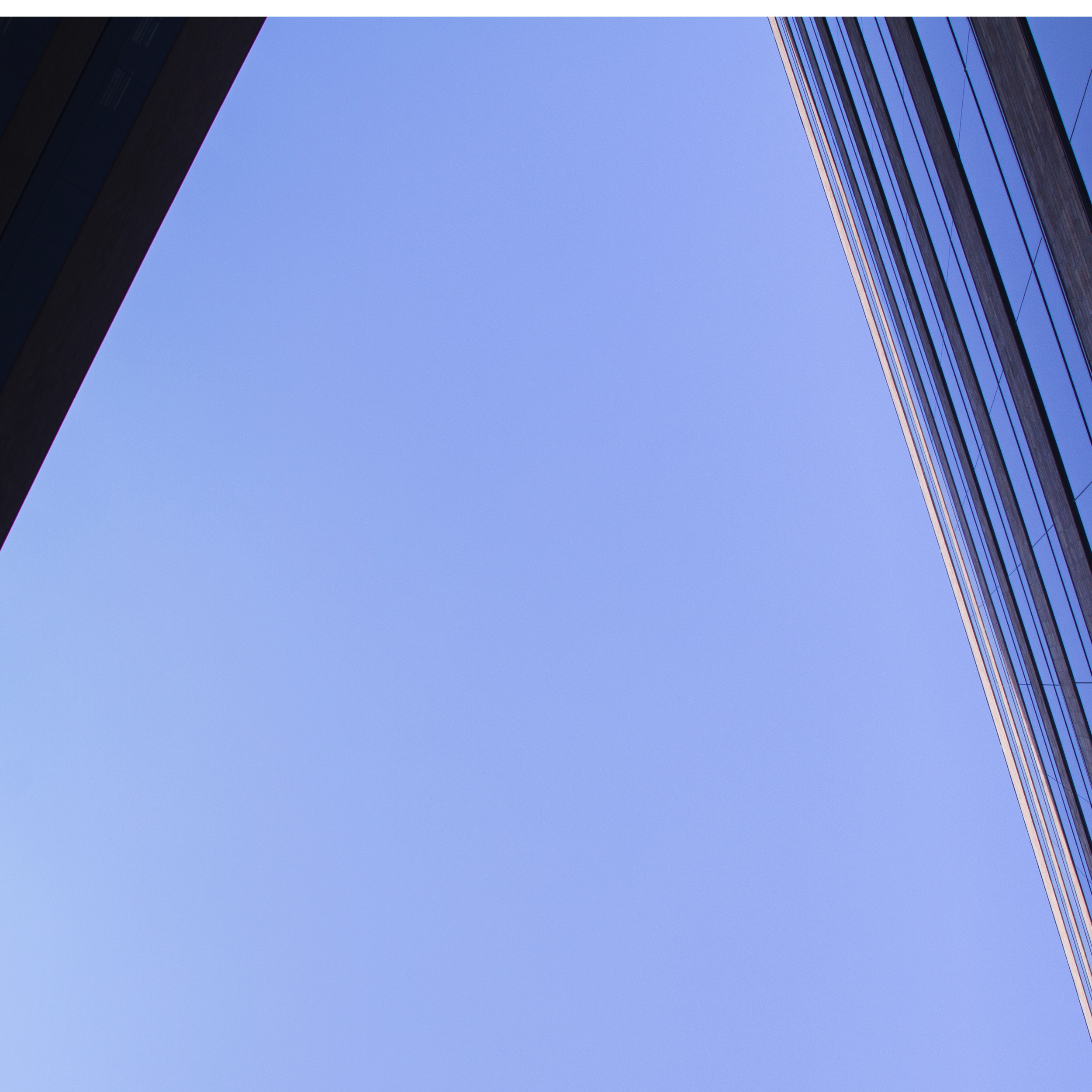 Brand Arc — AERO COLLECTIVE