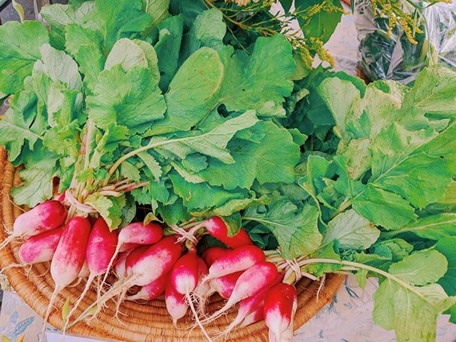 Haile Farmers Market