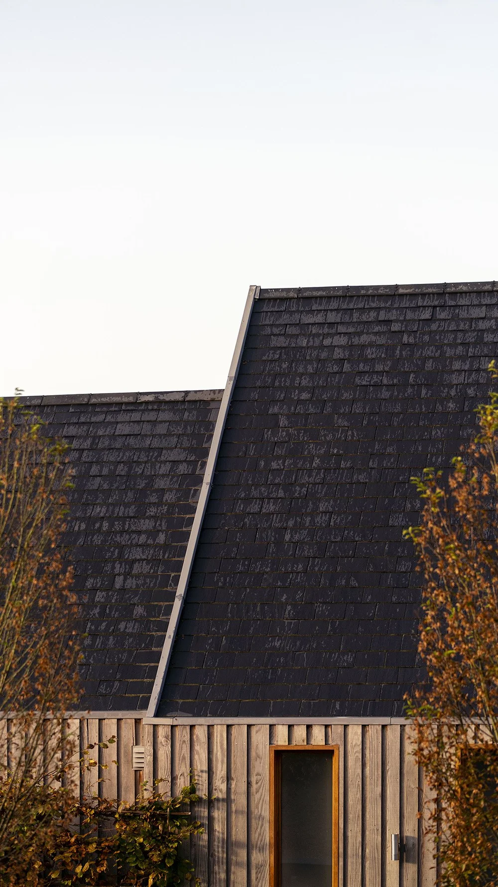 Overview — Will Scott Photography