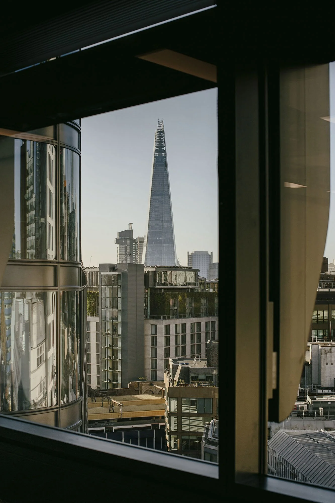 Overview — Will Scott Photography