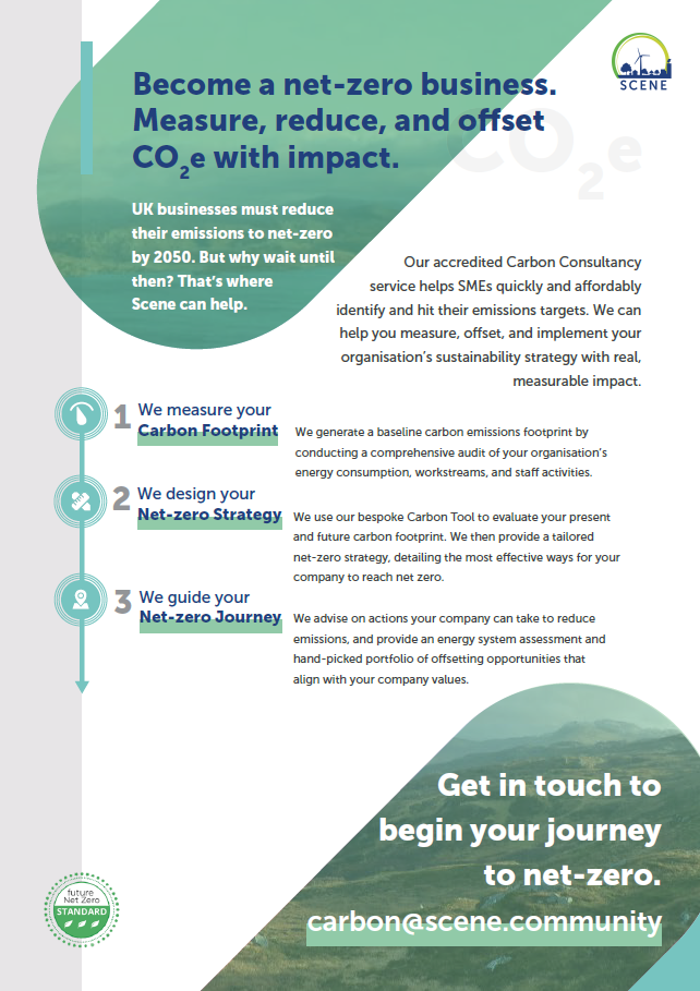 Net Zero Services — Scene