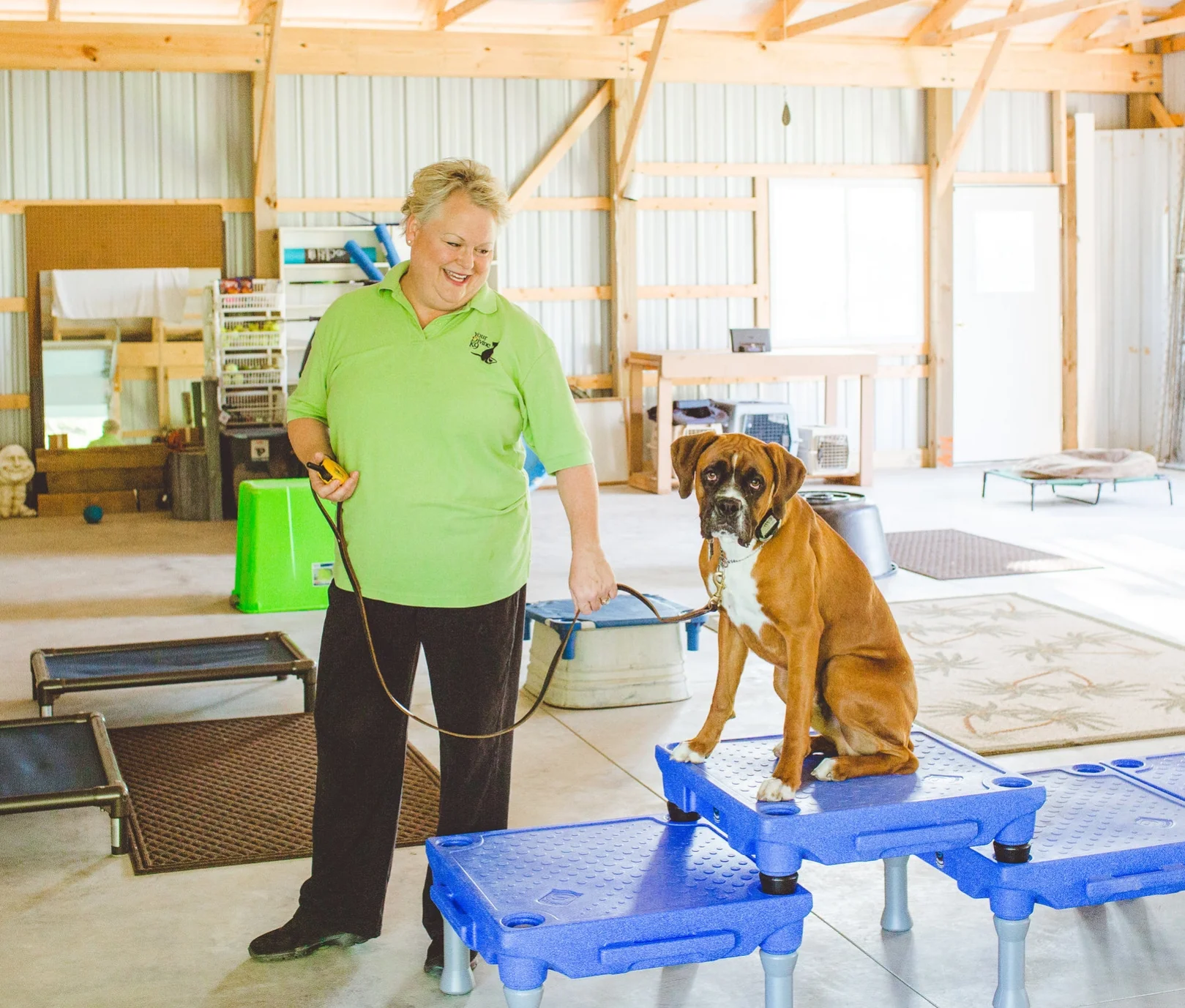 Training Overview — Your Divine K9