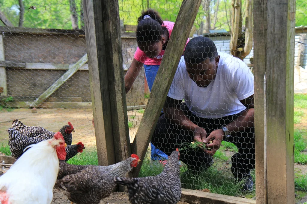 Nick Wallace Culinary