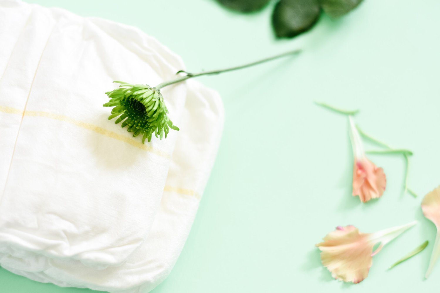 7 Reasons to Use Eco-Friendly Diapers — Lindsey Lee & Co