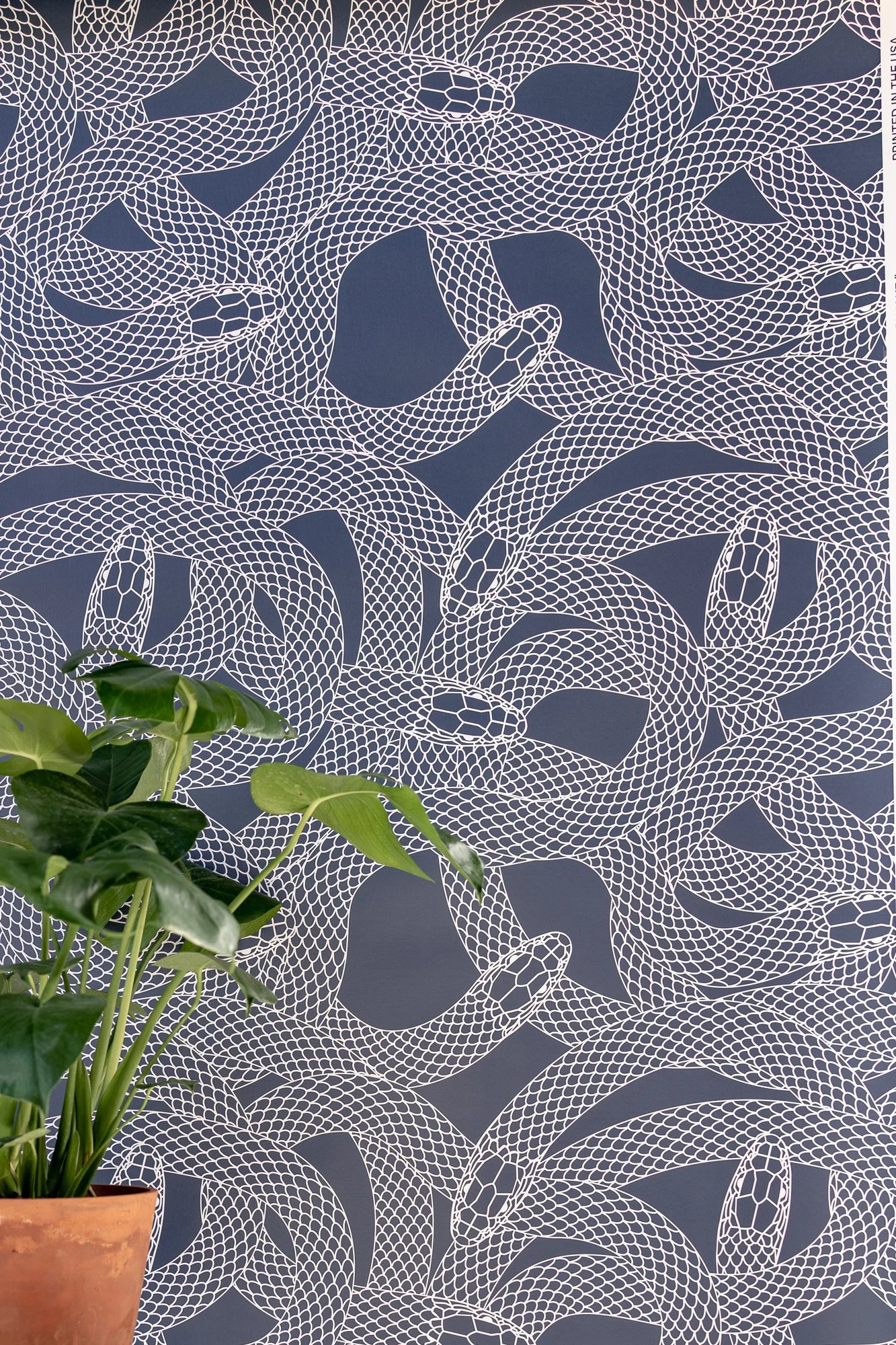 Snake Design Wallpaper