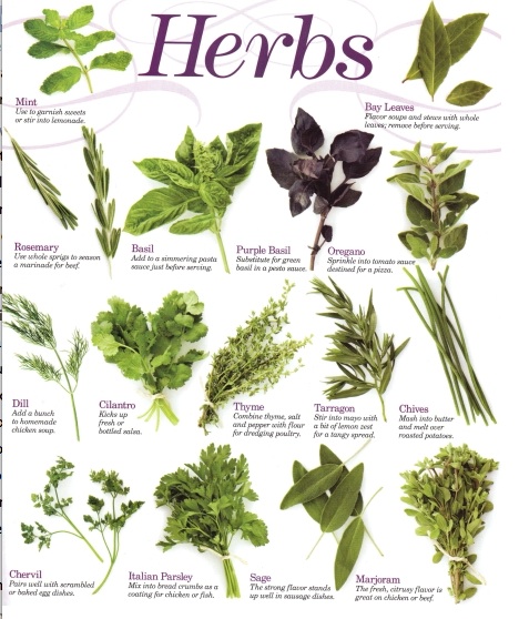 Aromatic Herbs Chart