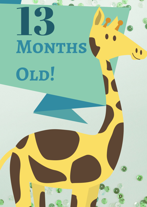 Baby's First to Second Year Series: Free Printable Baby Milestone Signs ...