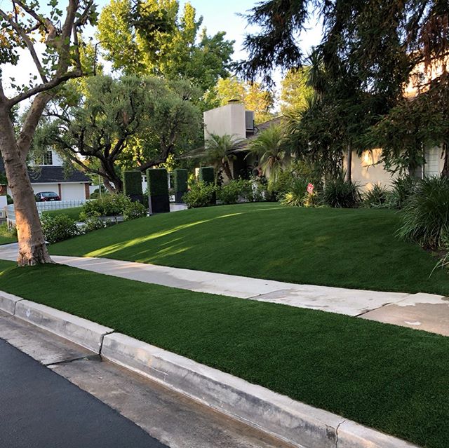 EcoGrass Artificial Turf and Grass Installation in Los Angeles Home