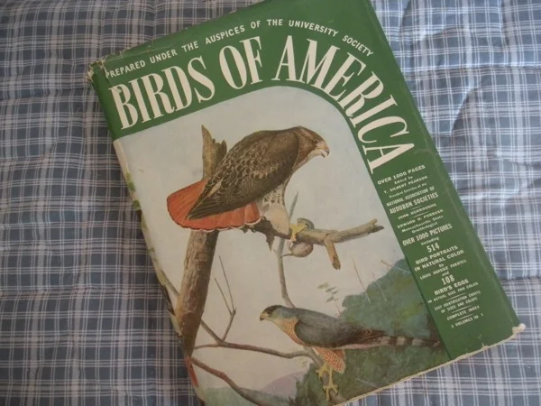 Birds Of America Edition 1936